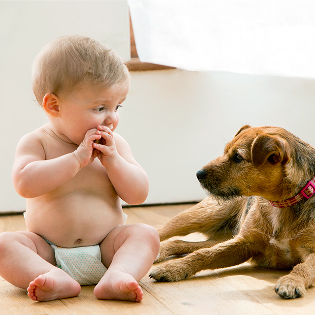 Help! My Child Ate Dog Poop! | My Vanderbilt Health