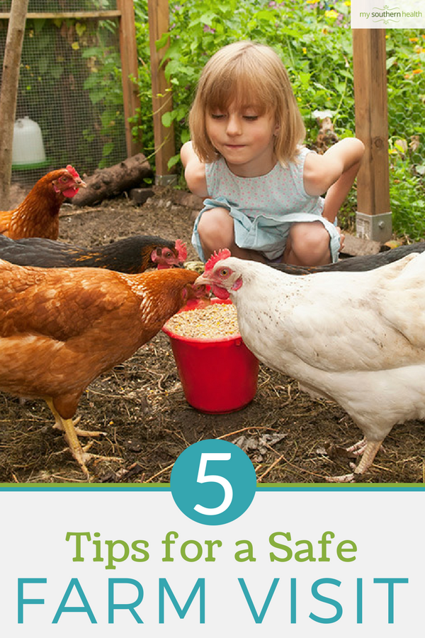 Farm Safety for Springtime Farm Visits | My Vanderbilt Health