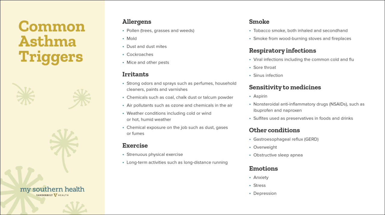 Asthma Triggers: 26 Common Triggers to Know | My Vanderbilt Health